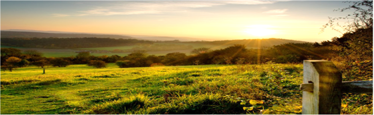 Environmental principles: putting nature at the heart of our policy ...