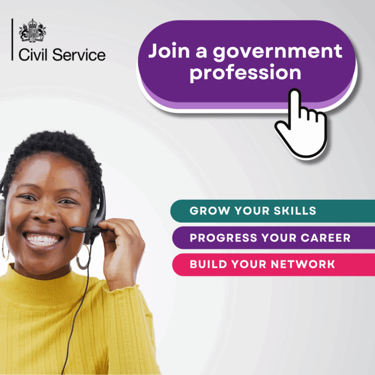 Professional Networks – A Modern Civil Service